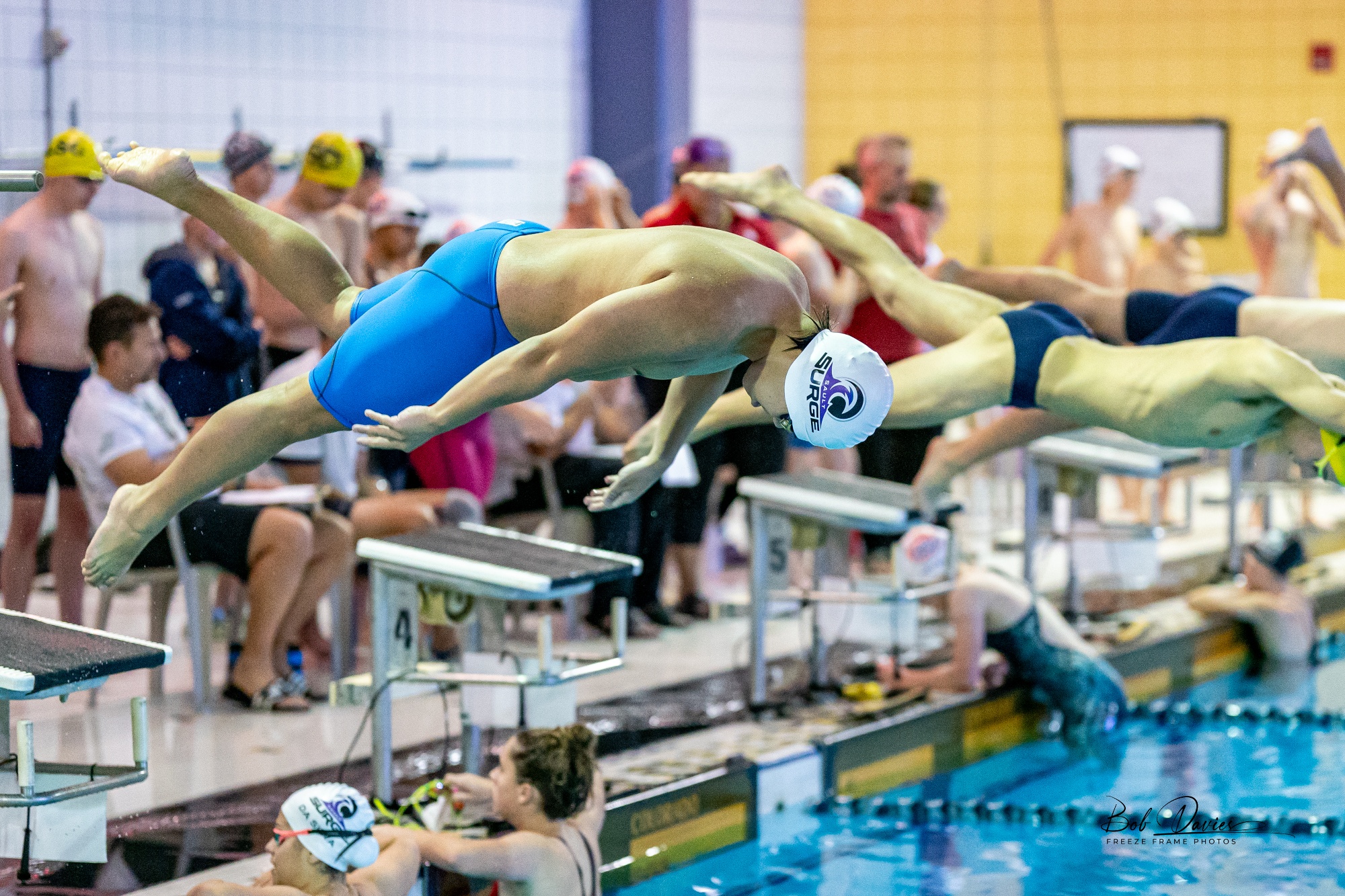 Sault Surge Aquatic Team Home