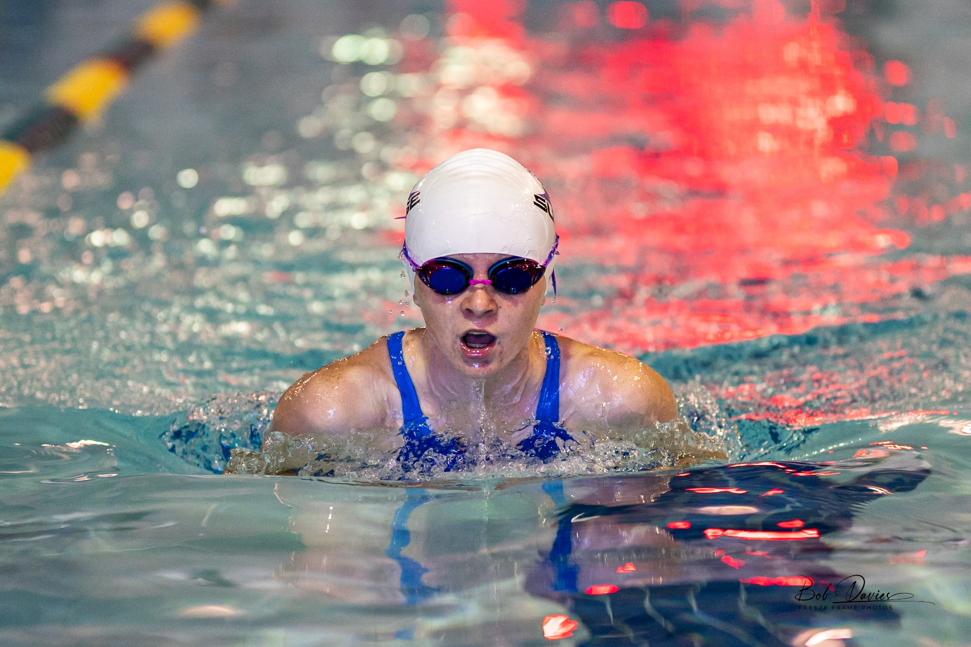 Sault Surge Aquatic Team Home