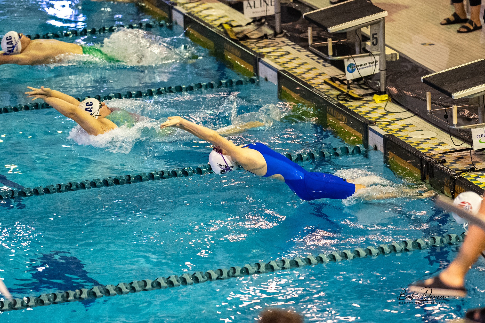 Sault Surge Aquatic Team Home