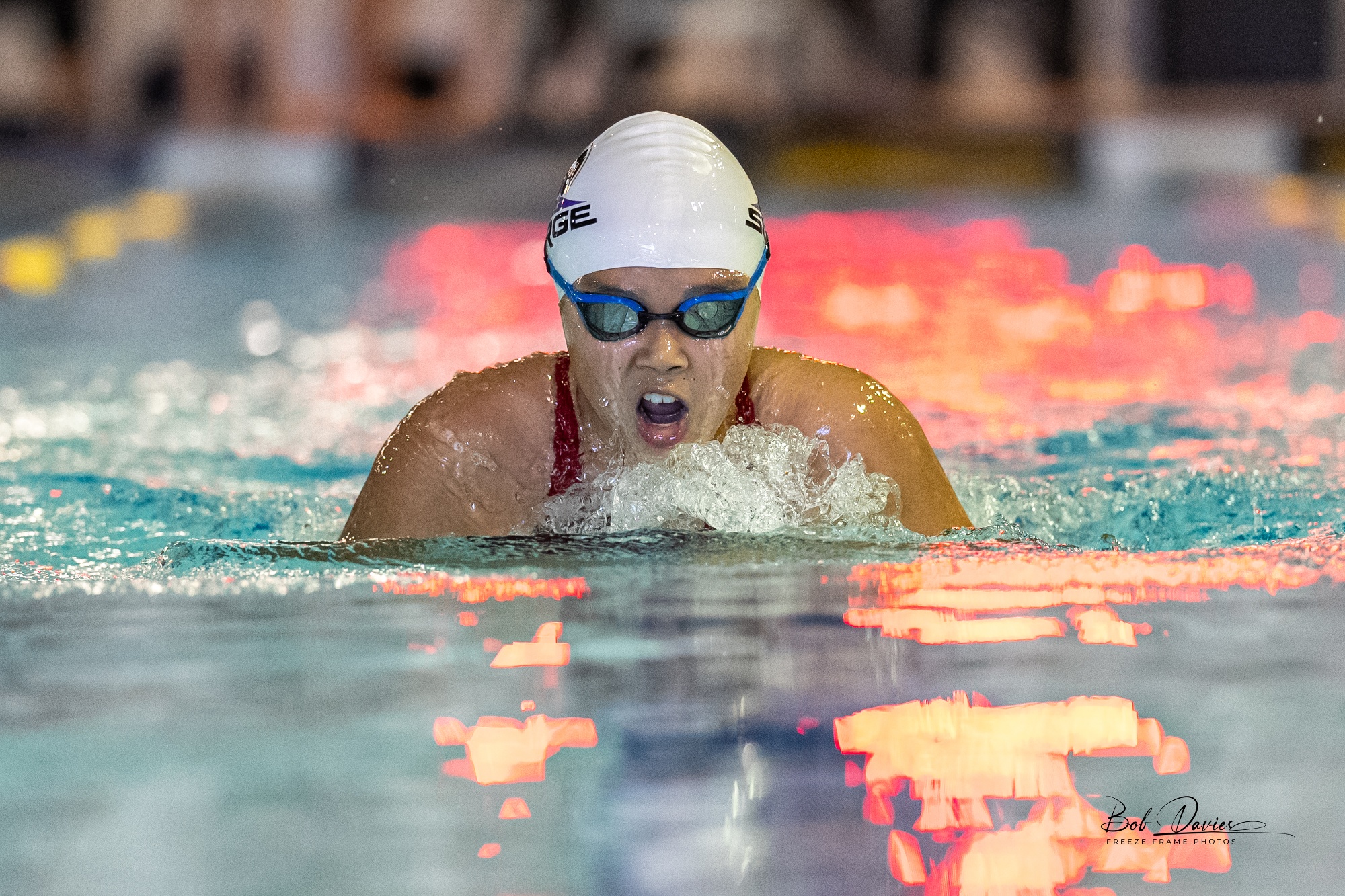 Sault Surge Aquatic Team Home