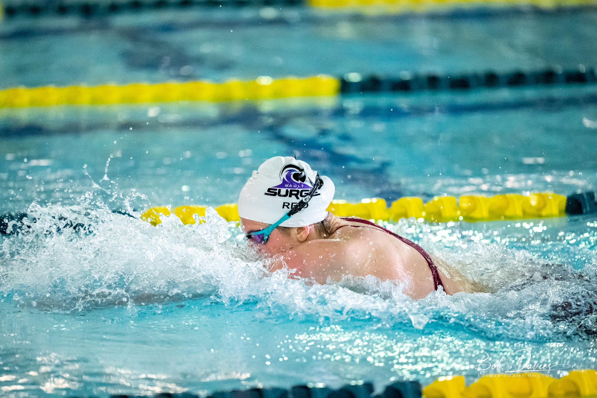 Sault Surge Aquatic Team Home