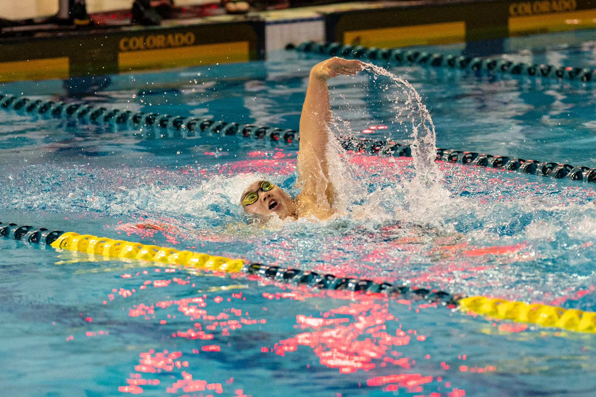 Sault Surge Aquatic Team Home