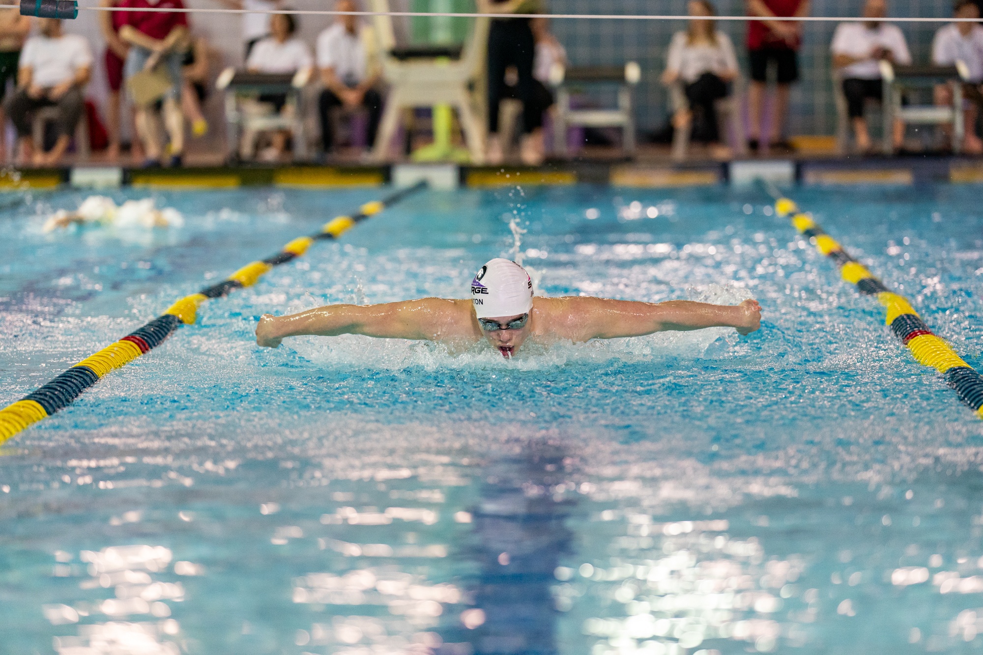 Sault Surge Aquatic Team Home